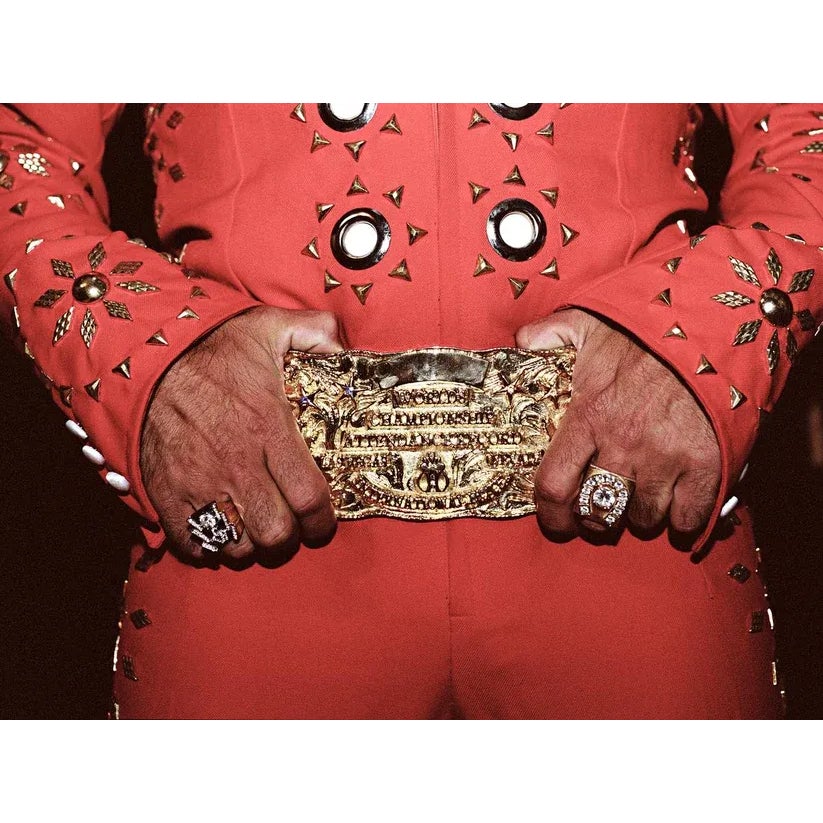 Elvis Belt by Marc Lecureuil Print, 30" x 40" | Chairish