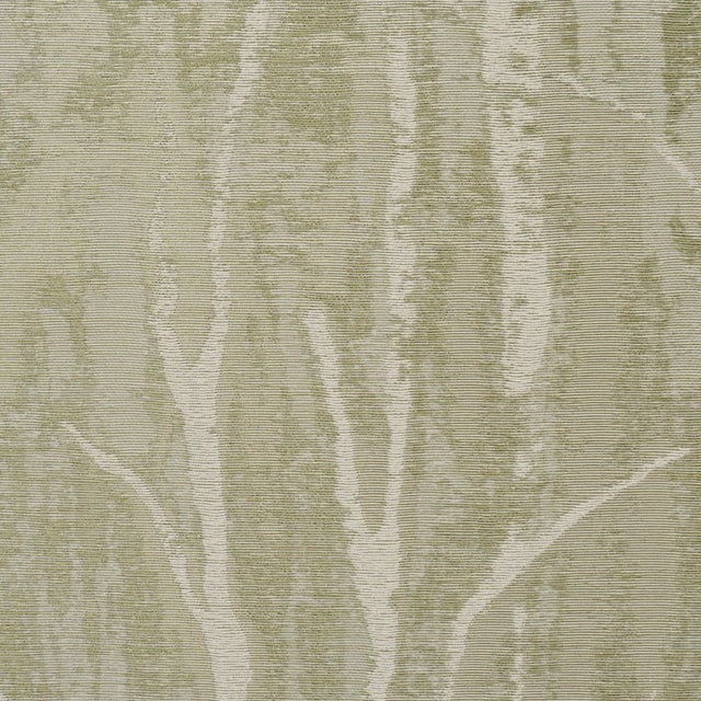 Schumacher Komorebi Wallpaper In Illuminated Forest | Chairish