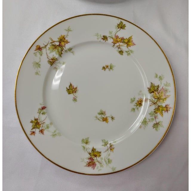 Vintage Haviland's Autumn Leaf Pattern Dinner Plates, Set of 6 | Chairish