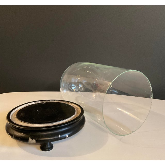 Antique Hand Blown Glass Cloche Dome on Grooved Base | Chairish