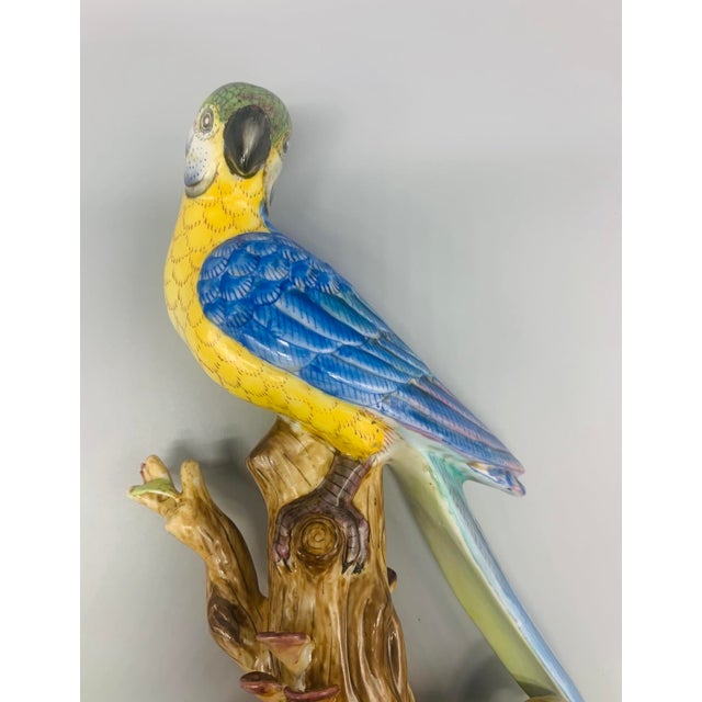 1960s Pair of Vintage Porcelain Hand Painted Parrots Andrea by Sadek ...