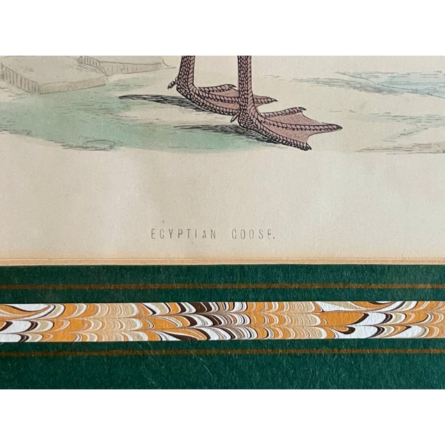 19th C. English Traditional Duck Bookplates -- a Pair | Chairish