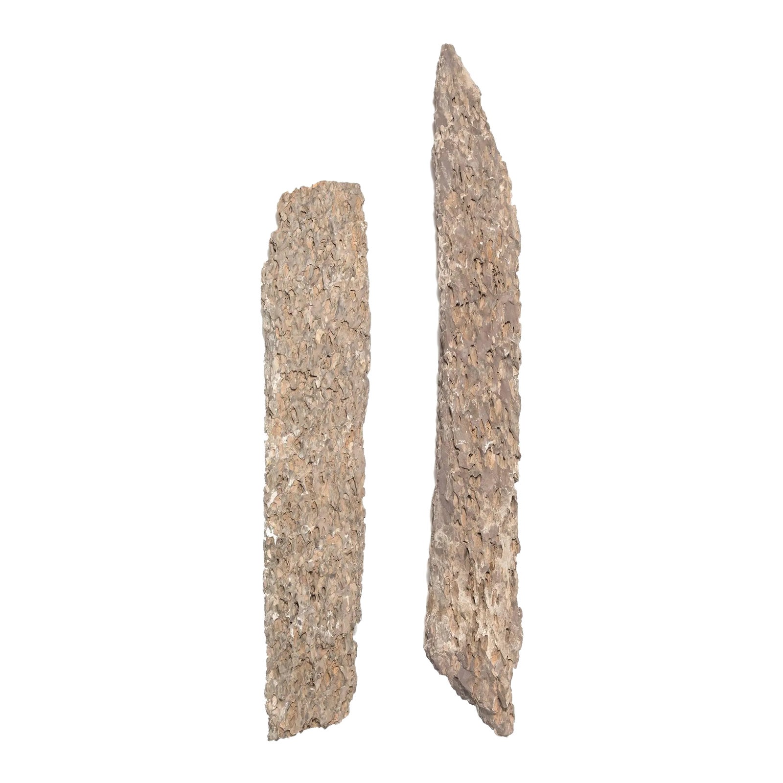 Chinese Taihu Stone | Chairish