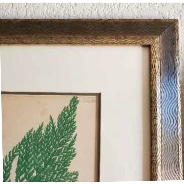 Set of Two 19th Century English Victorian Nature Printed Ferns in ...