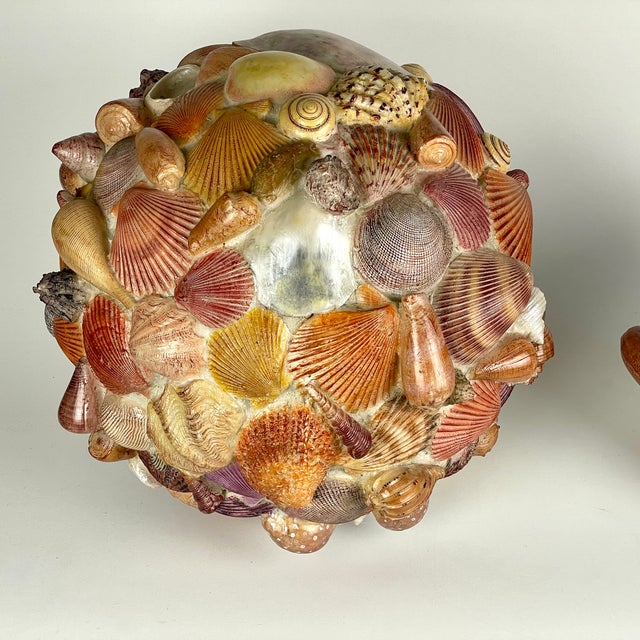 Pair of Large & Small Variety Sea Shells Topiary Sculptures | Chairish