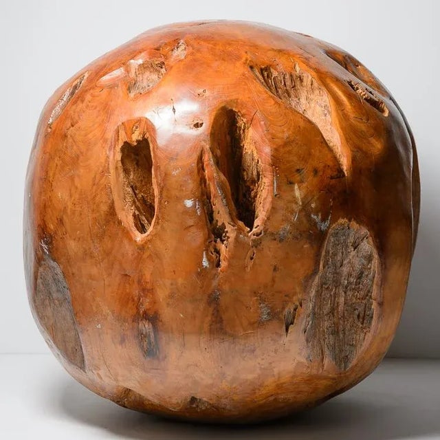 Extra Large Polished Burl Wood Sphere Sculpture, 21" | Chairish