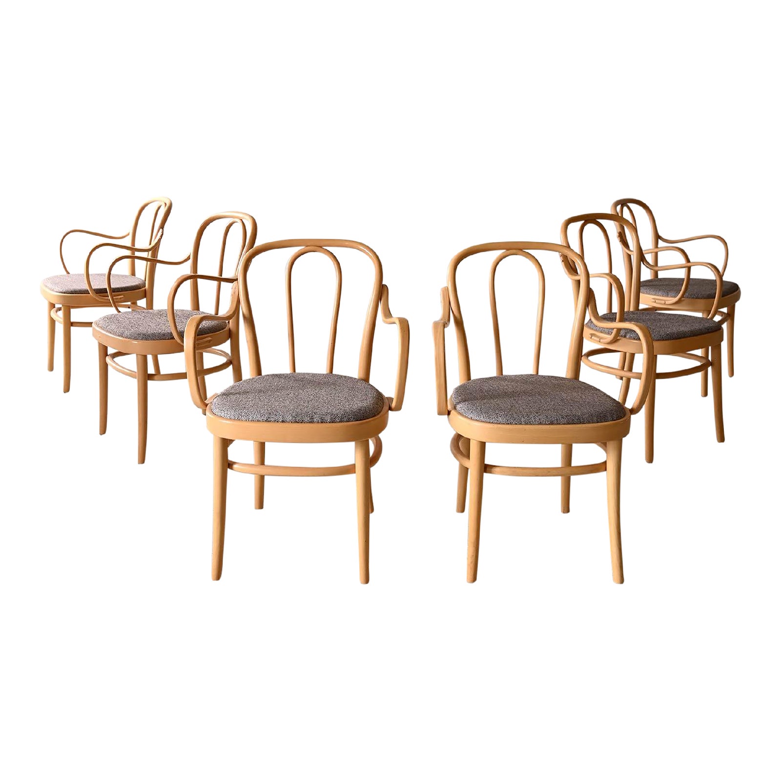 1960s 6 Chairs From the Company Gemla Model "Wien" | Chairish