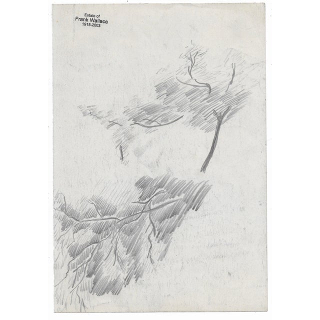 1940s Frank Wallace Tree Drawing | Chairish