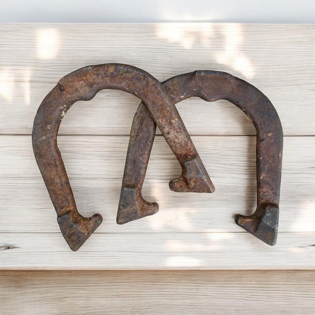 Mid 20th Century Diamond Pitching Horseshoes Wall Decor- Set of 3 ...