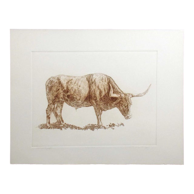 1970s "Grazing" Sepia Toned Etching by Chad Neff | Chairish