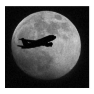 Vintage & Used Photography for Sale | Chairish