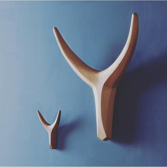 Medium Nguni Head Black Iroko, Animal Head Wall Sculpture, Grey | Chairish