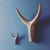 Medium Nguni Head Black Iroko, Animal Head Wall Sculpture, Grey | Chairish