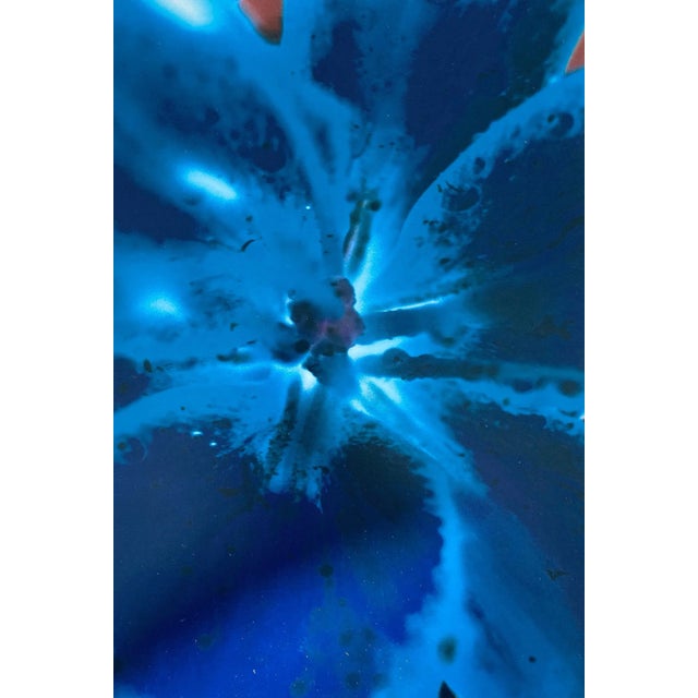 Jeffrey Rothstein, Flora Fauna Series Vintage Color Photograph Abstract ...