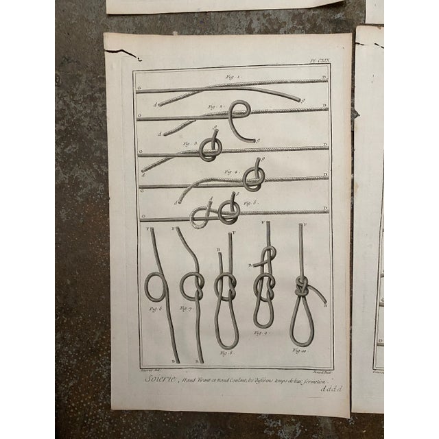Antique 18th Century Knot Engravings - Set of Five | Chairish