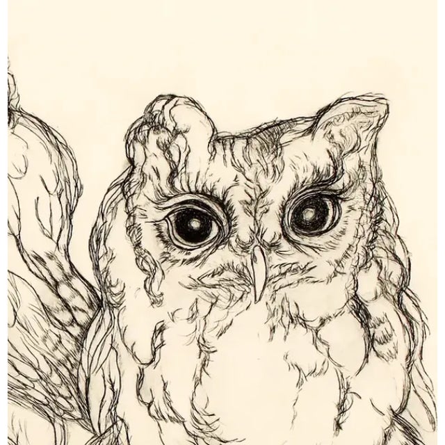 "Two Screech Owls" Etching by Christine McGinnis, Printed by David ...