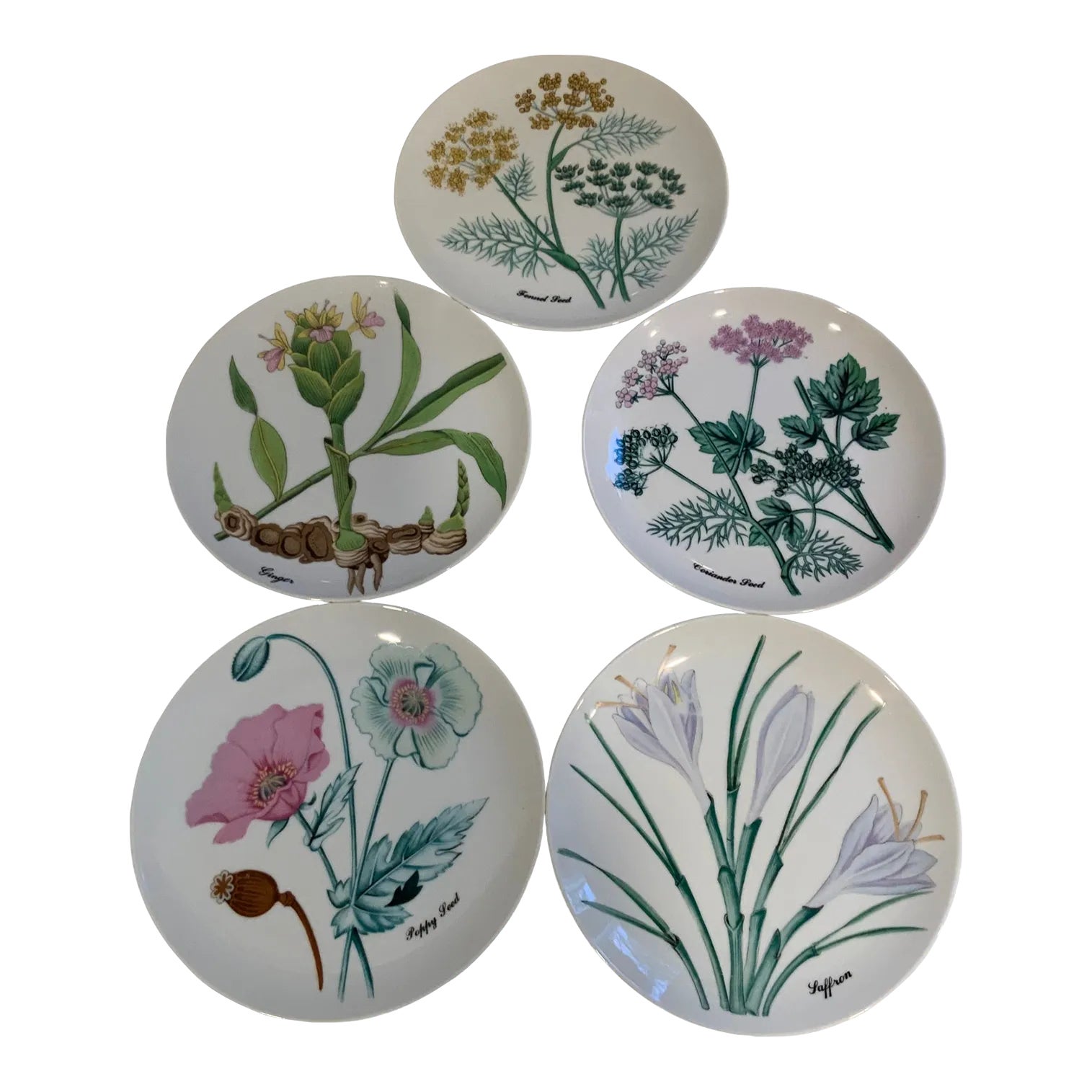 Horchow Collection Herb Plates, a Set of 5 | Chairish