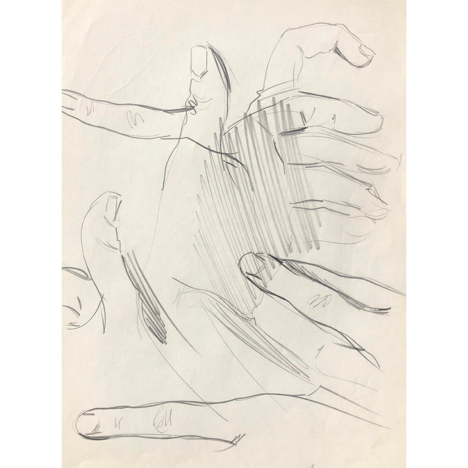 1956 Charles Merrill Mount Anatomy Study | Chairish