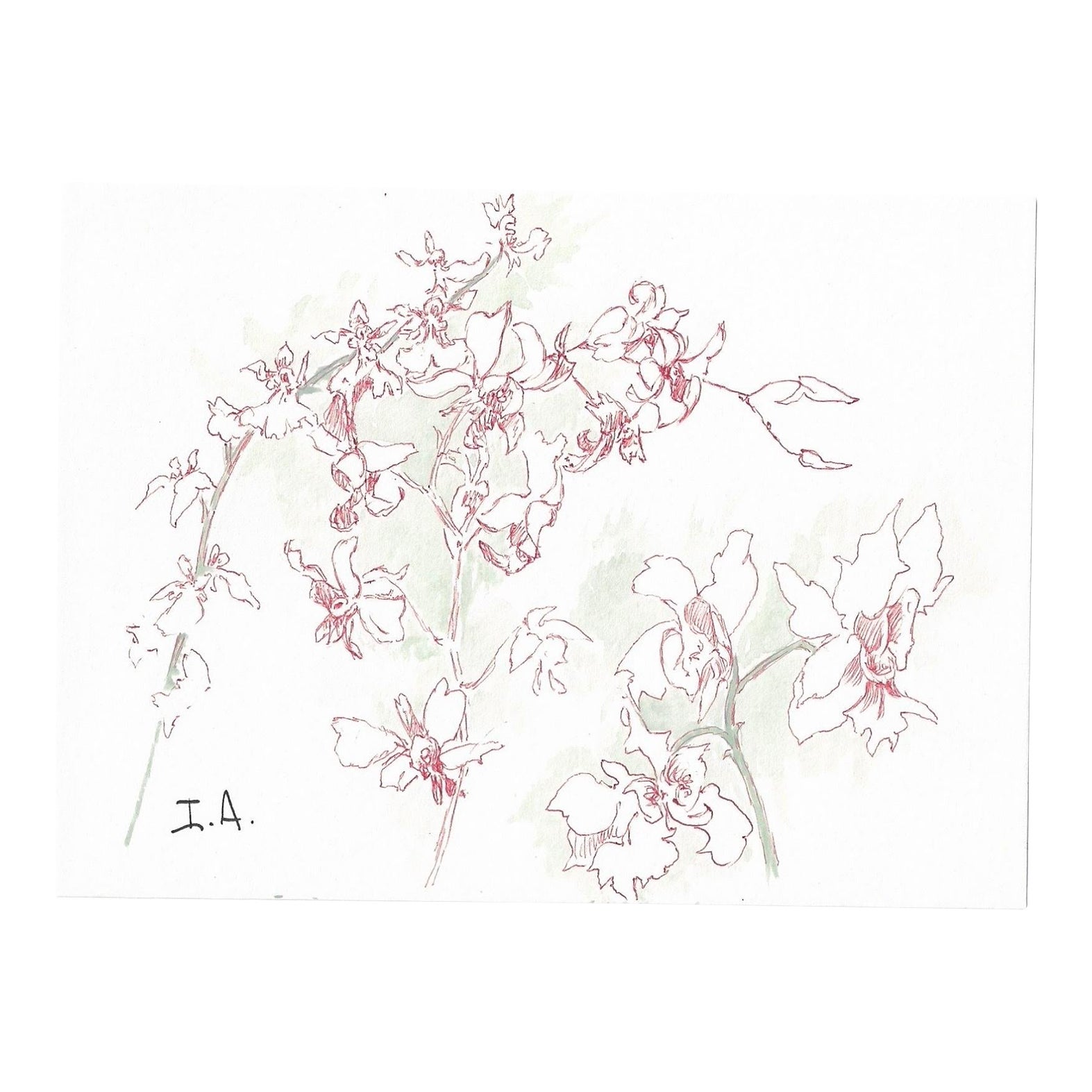 Ivy Attwell Botanical Watercolor | Chairish