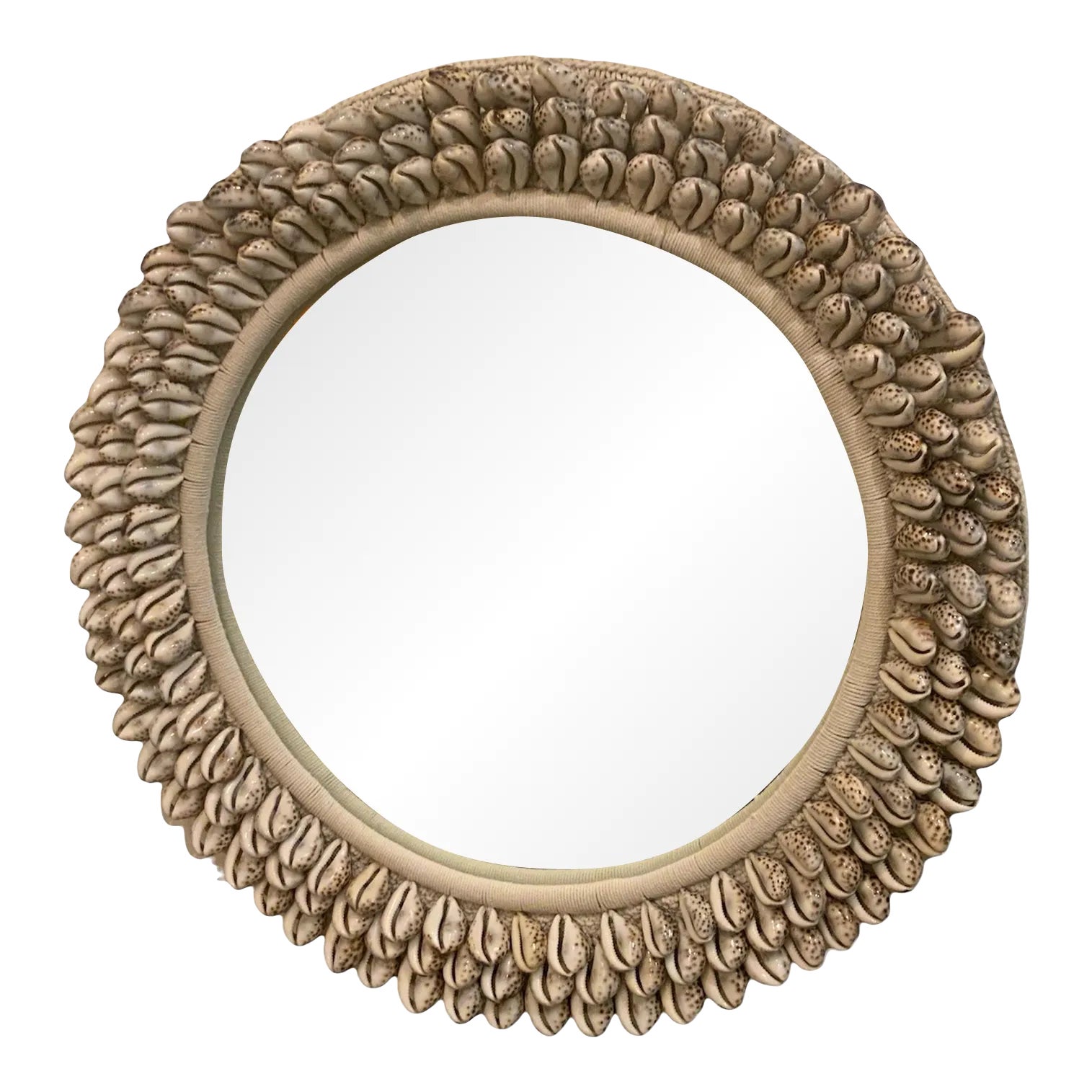 Round Tiger Cowrie Shell Mirror | Chairish