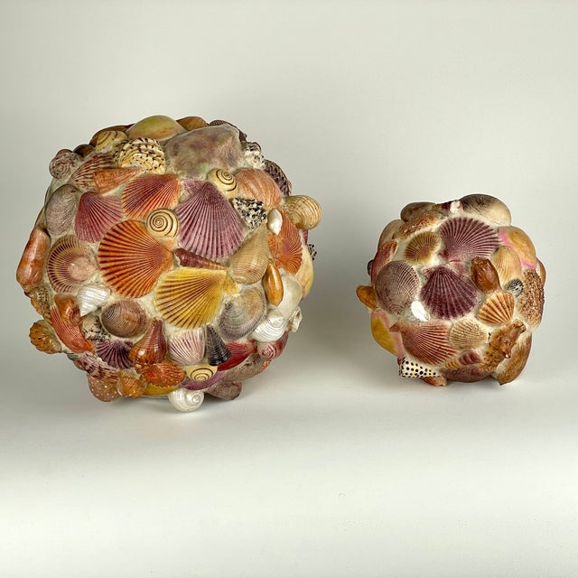 Pair of Large & Small Variety Sea Shells Topiary Sculptures | Chairish