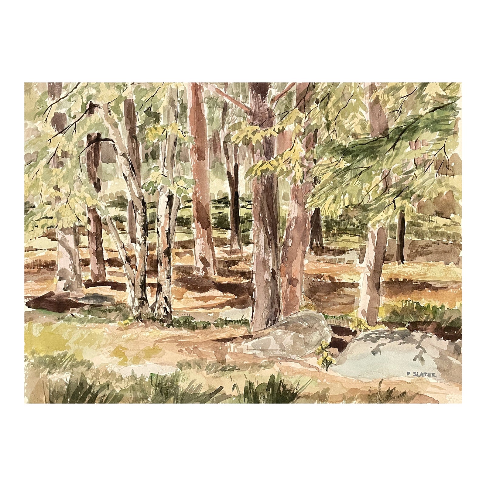 1950s Elizabeth Slater Forest Ladnscape Watercolor | Chairish