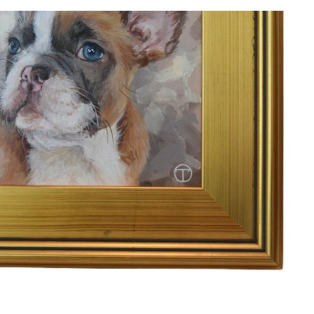 Blue Eyed French Frenchie Bulldog Dog Oil Painting Including the ...