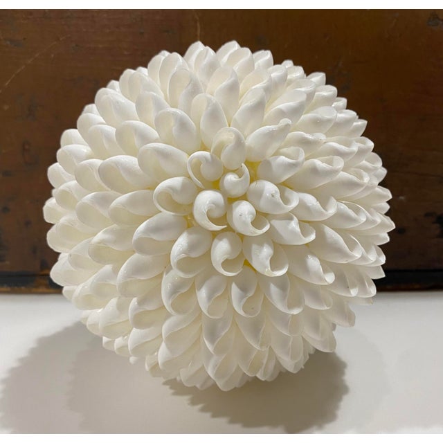 Vintage White Sea Shell Ball | Chairish