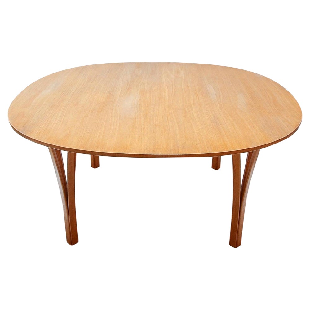 Ellipse Coffee Table attributed to Piet Hein & Bruno Mathsson for Fritz ...