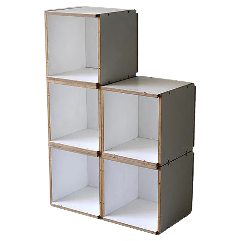 Modular Shelves by Slothouber & Graatsma, 1970s, Set of 5 | Chairish