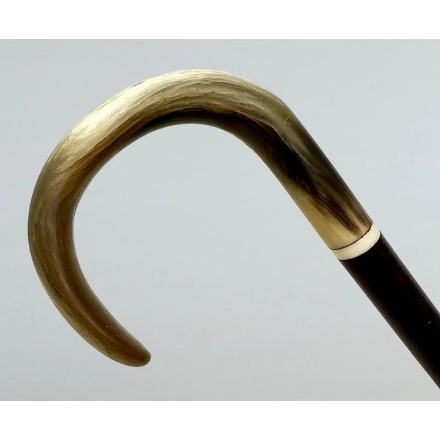 Antique Vintage Lady's Gentleman's Snakewood Wooden Walking Stick Dress ...