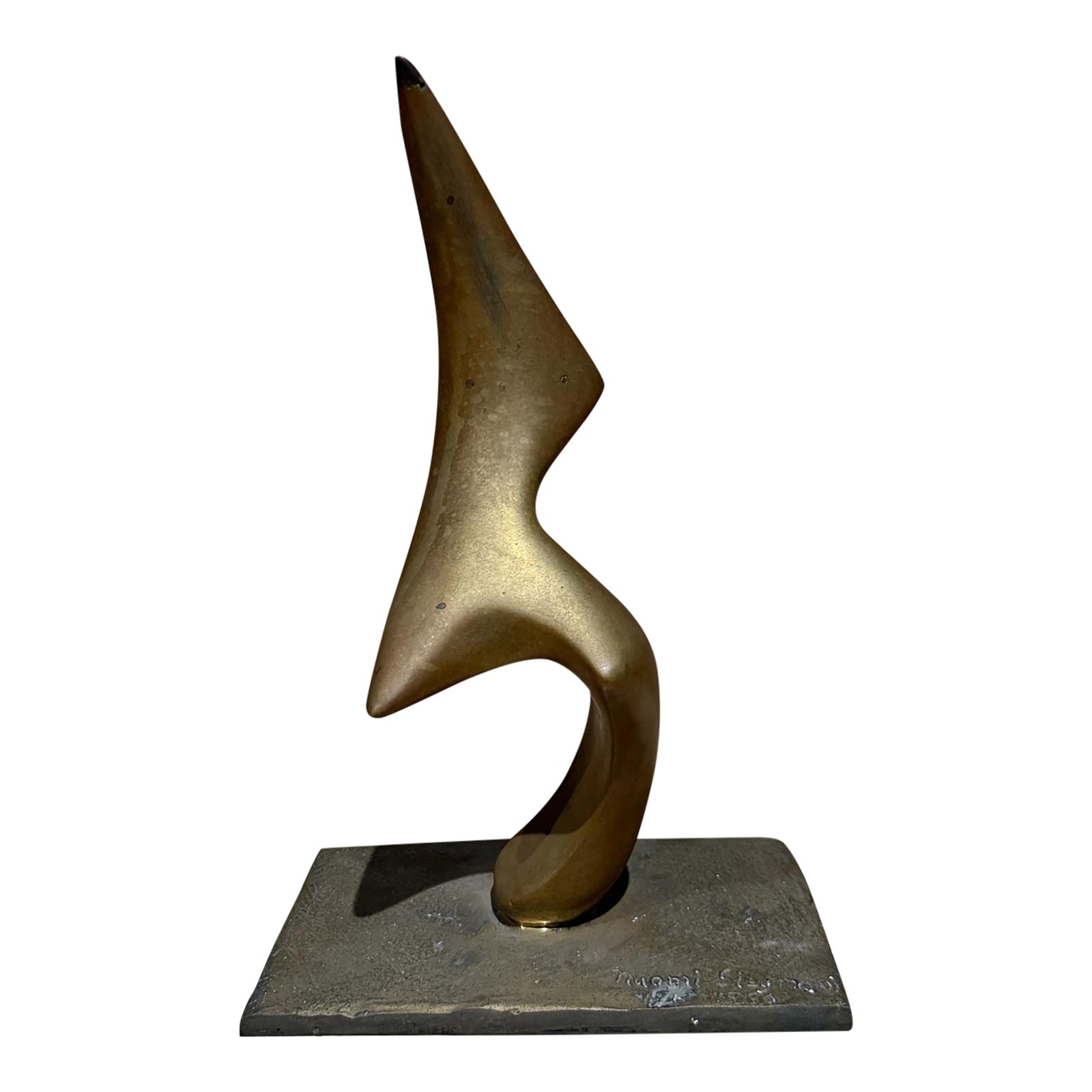 Naomi Siegmann Natural Form Bronze Sculpture Mexico City | Chairish