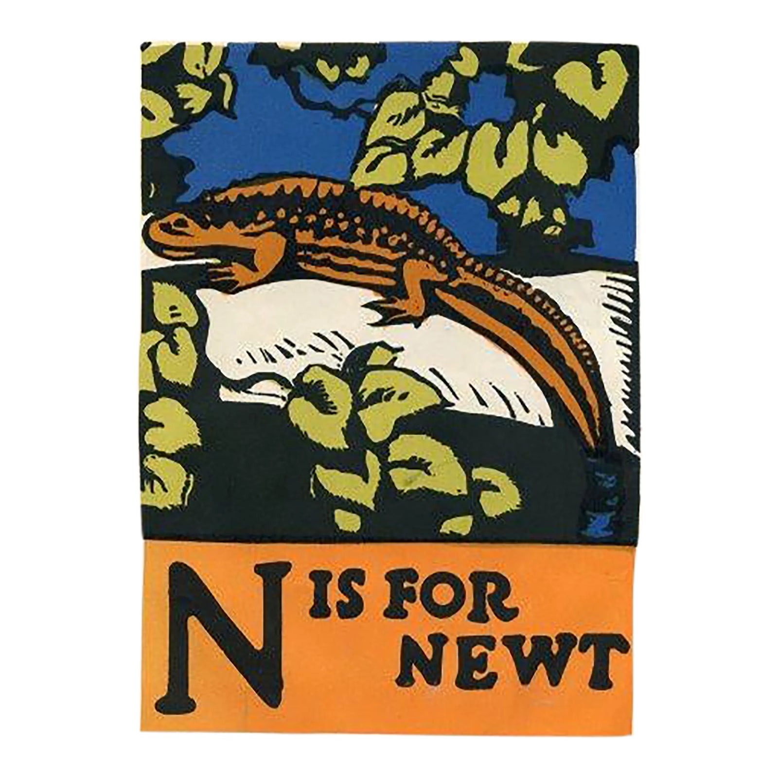1920s, N Is for Newt Print, Original Vintage Children’s Print ...
