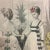 1870 Ad for Les Modes Parisienne | Chairish