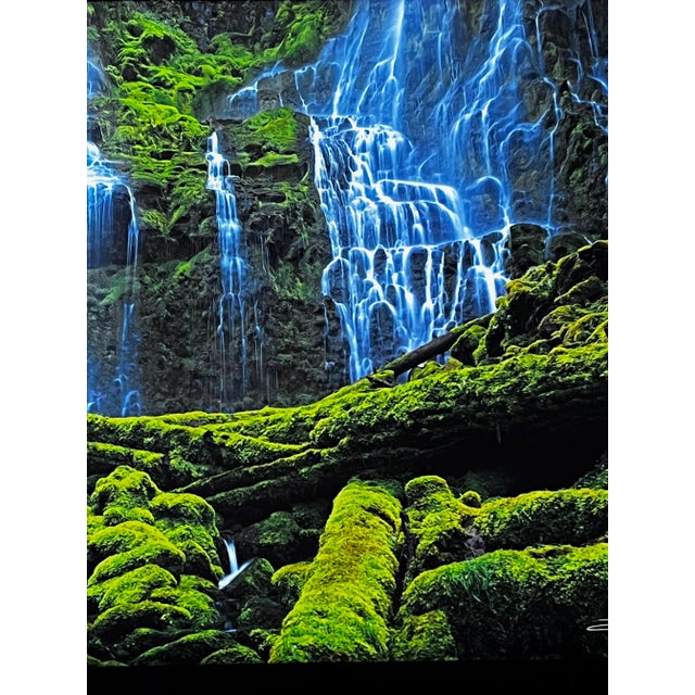 "Pristine" 74/450 Signed Limited Edition by Master Photographer Peter ...