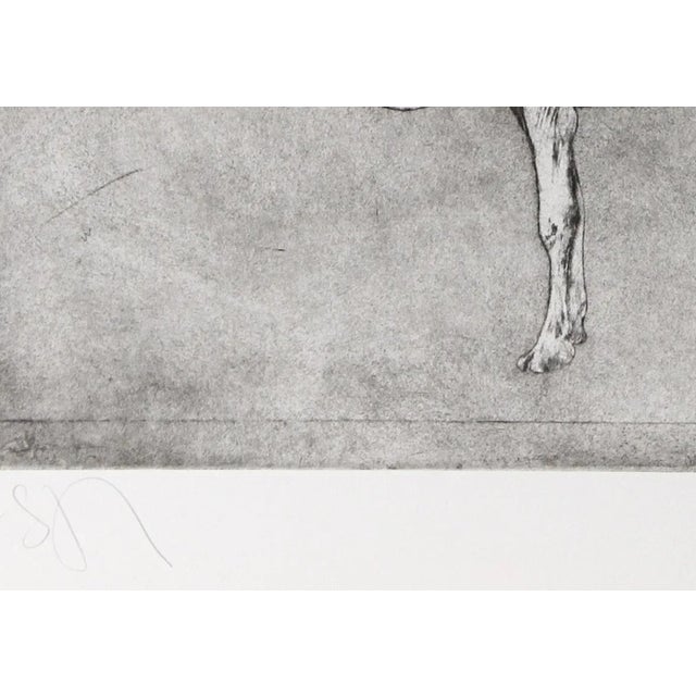 Donald Saff - Camel Moon Etching | Chairish