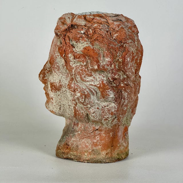 Mid 20th Century Stupendous Terracotta Head Bust Statue Sculpture of ...