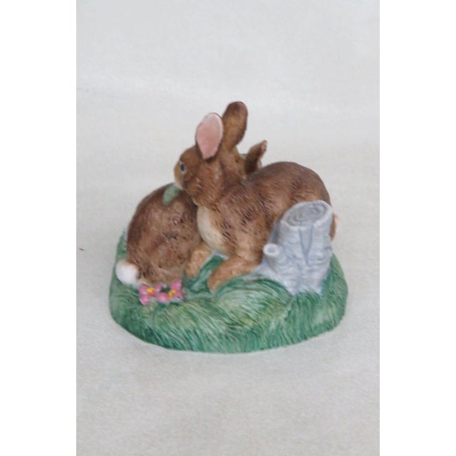 Royal Windsor Eastern Cottontail Rabbit Southern Forest Families ...