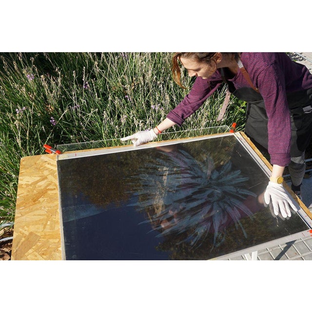 Contemporary Cyanotype Monotype of Shapes Under Water in Cold Tones ...