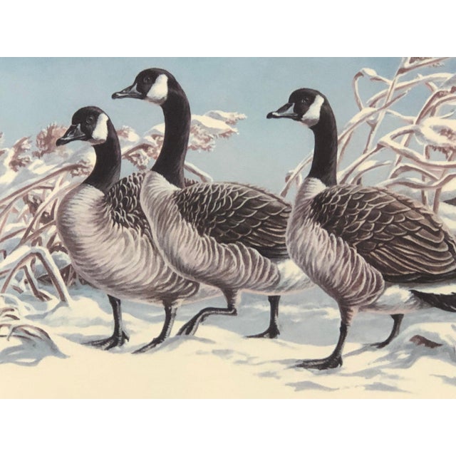 Vintage Lithograph of Three Geese Walking in the Snow, Brown Framed ...