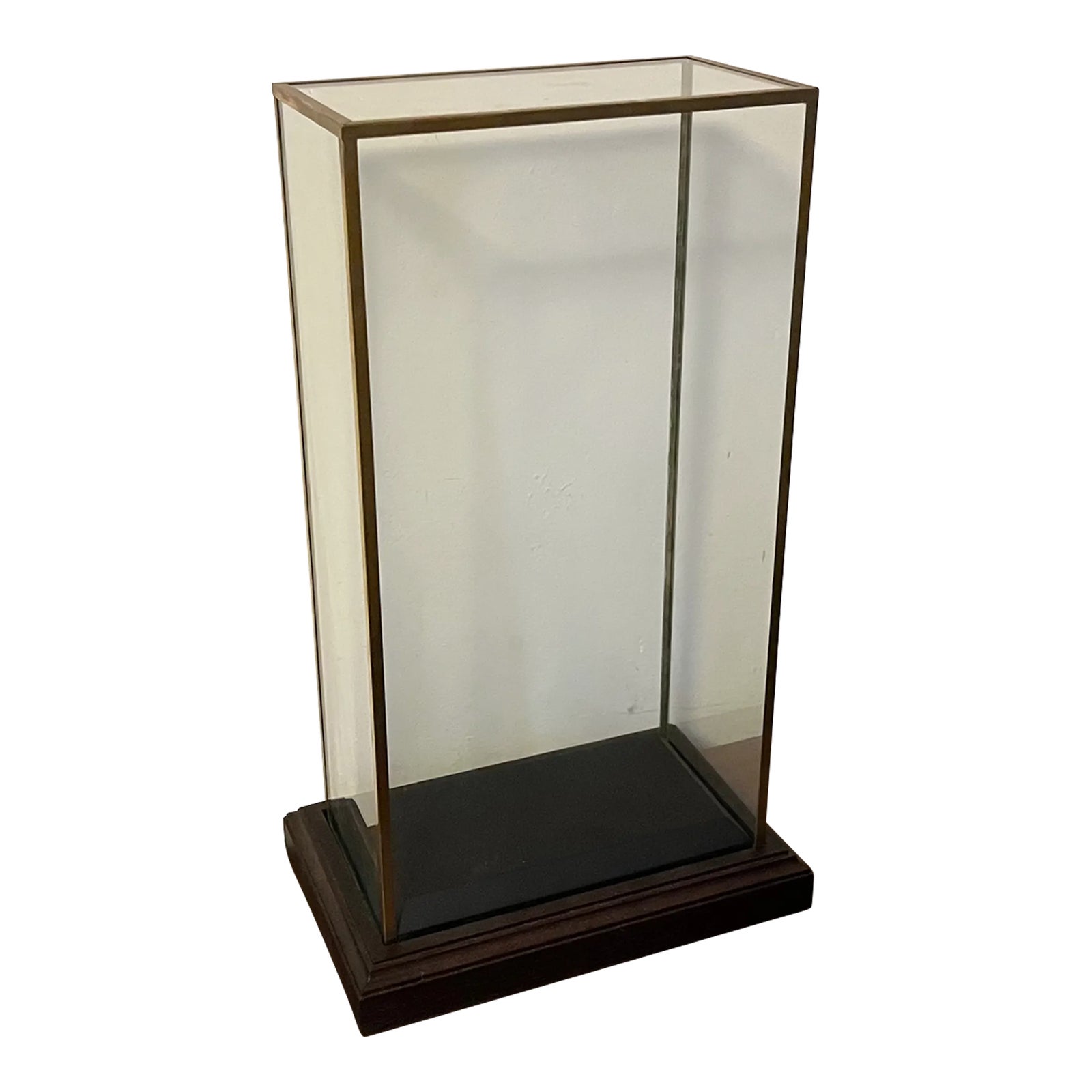 Brass and Glass Tall Rectangular Box Museum Display Case Dome With ...