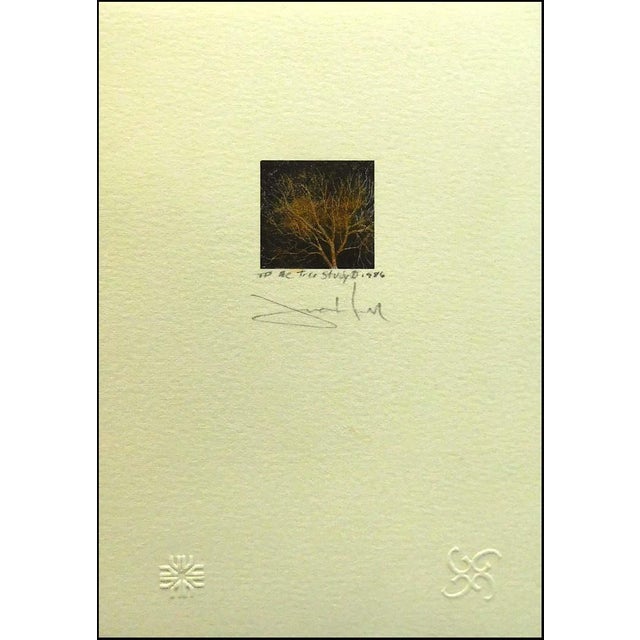 1980s Frank Howell "Tree Study Ii" Hand Signed Lithograph on Paper ...