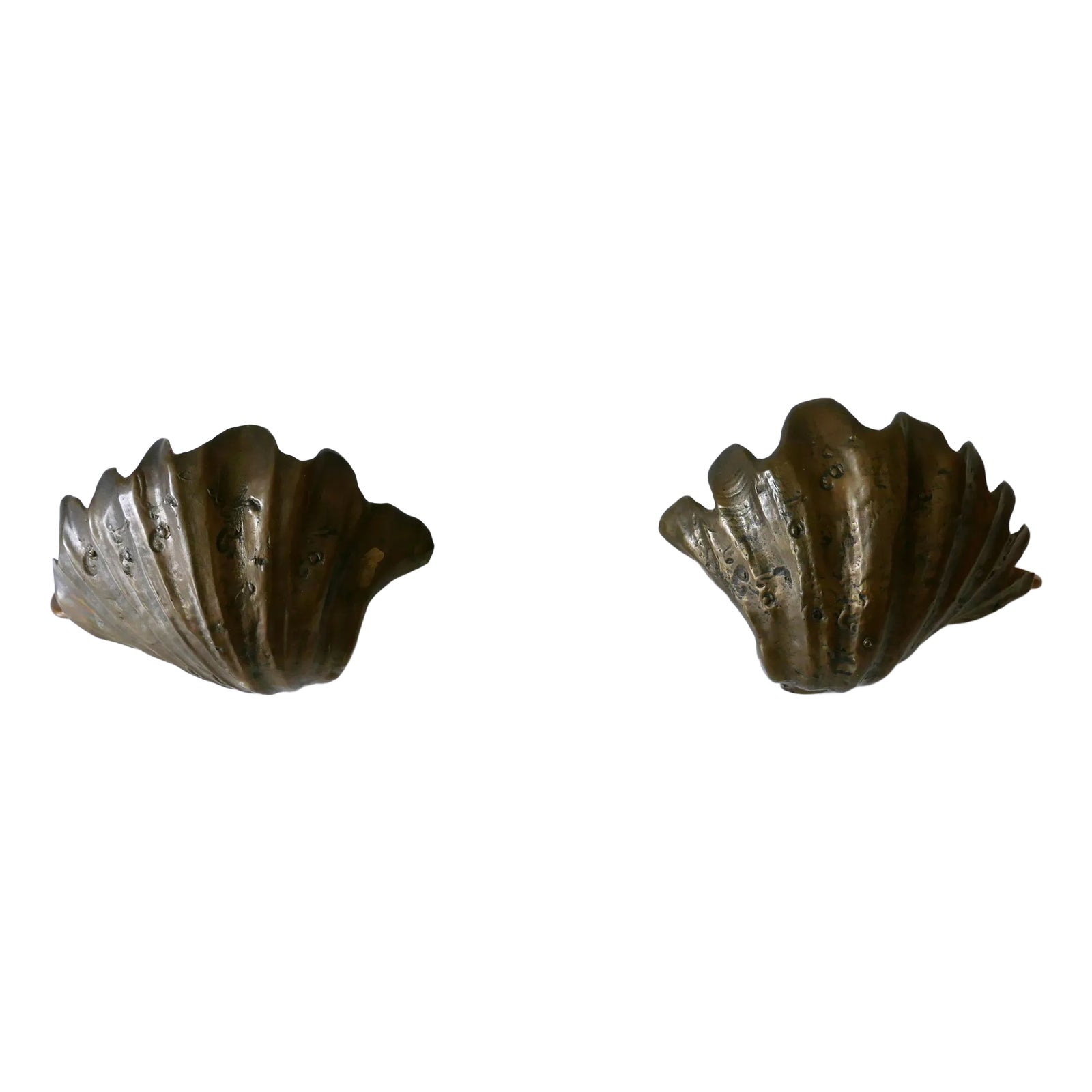 Mid-Century Modern Sea Shell Sconces in Cast Bronze, 1960s, Set of 2 ...