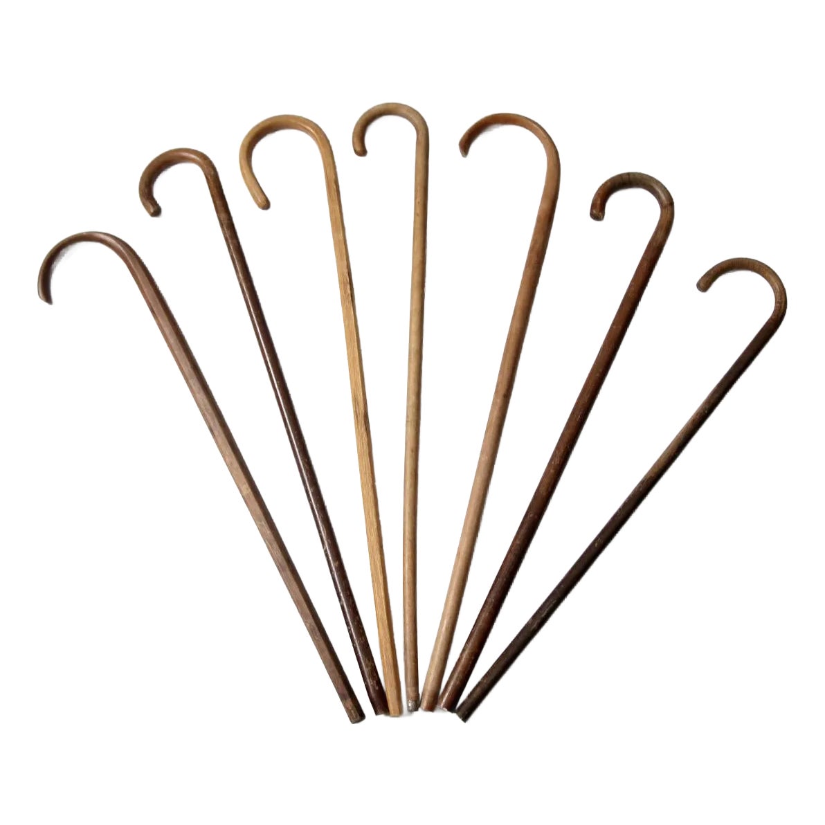 Set of Seven Vintage Wood Canes | Chairish