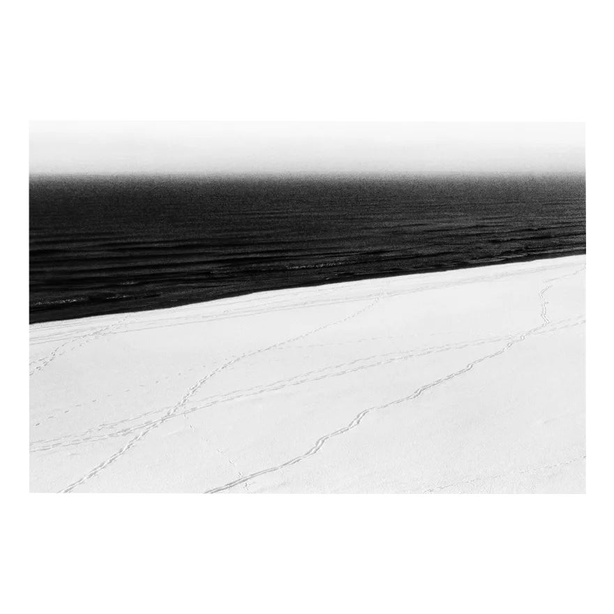 Baltic Freeze - Black and White Analogue Landscape Photography 42 X 28 ...
