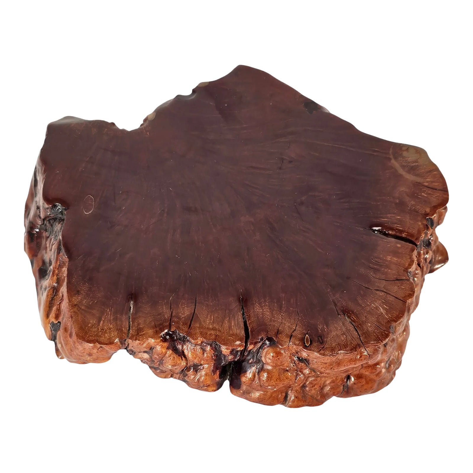 Japanese Bonsai Live Edge Slab Redwood | Chairish