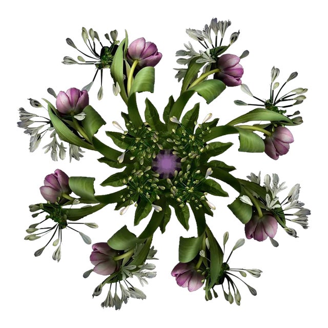 Lisa Creagh, E8.1, 2010 | Chairish