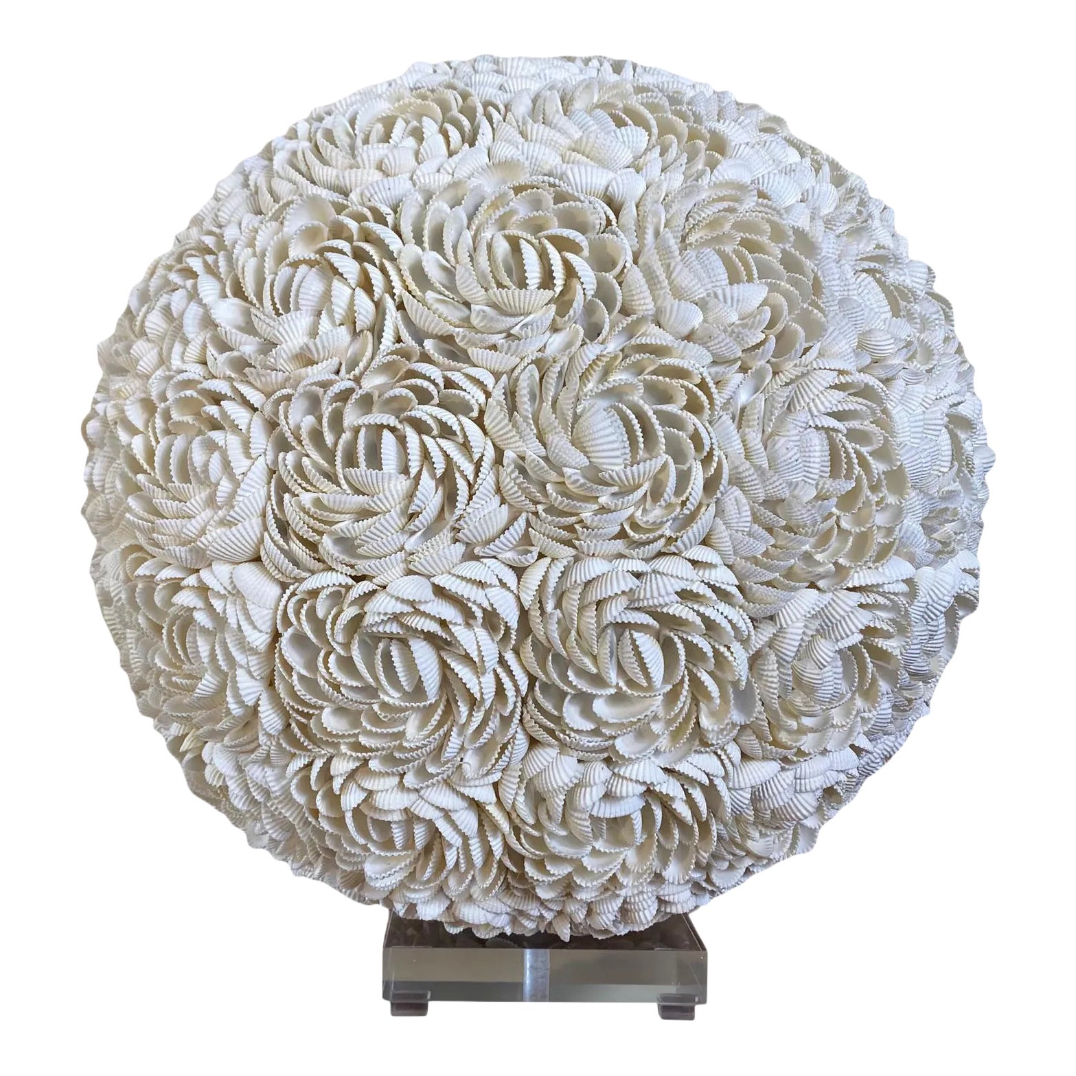 Shell Covered Orb Light Fixture on Lucite Base | Chairish