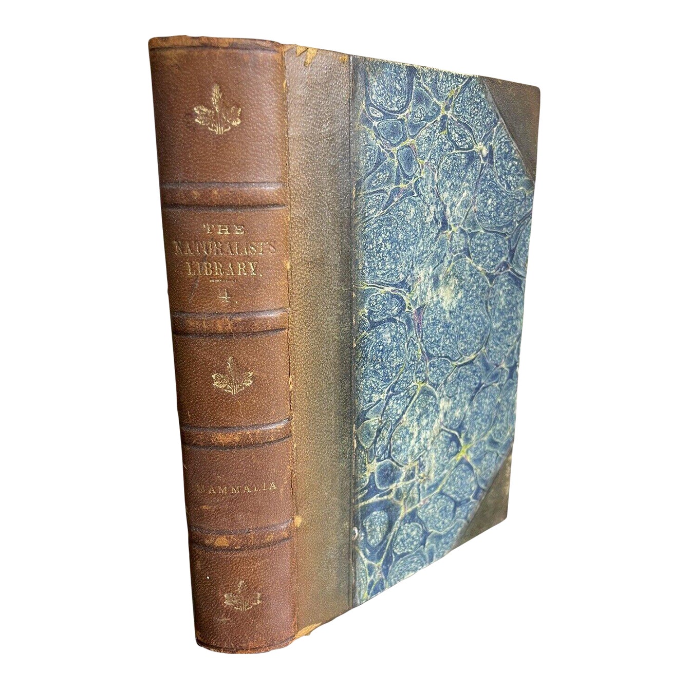 1843 the Naturalist's Library Mammalia Dogs Part 1 - Vol 4 Hand Colored ...