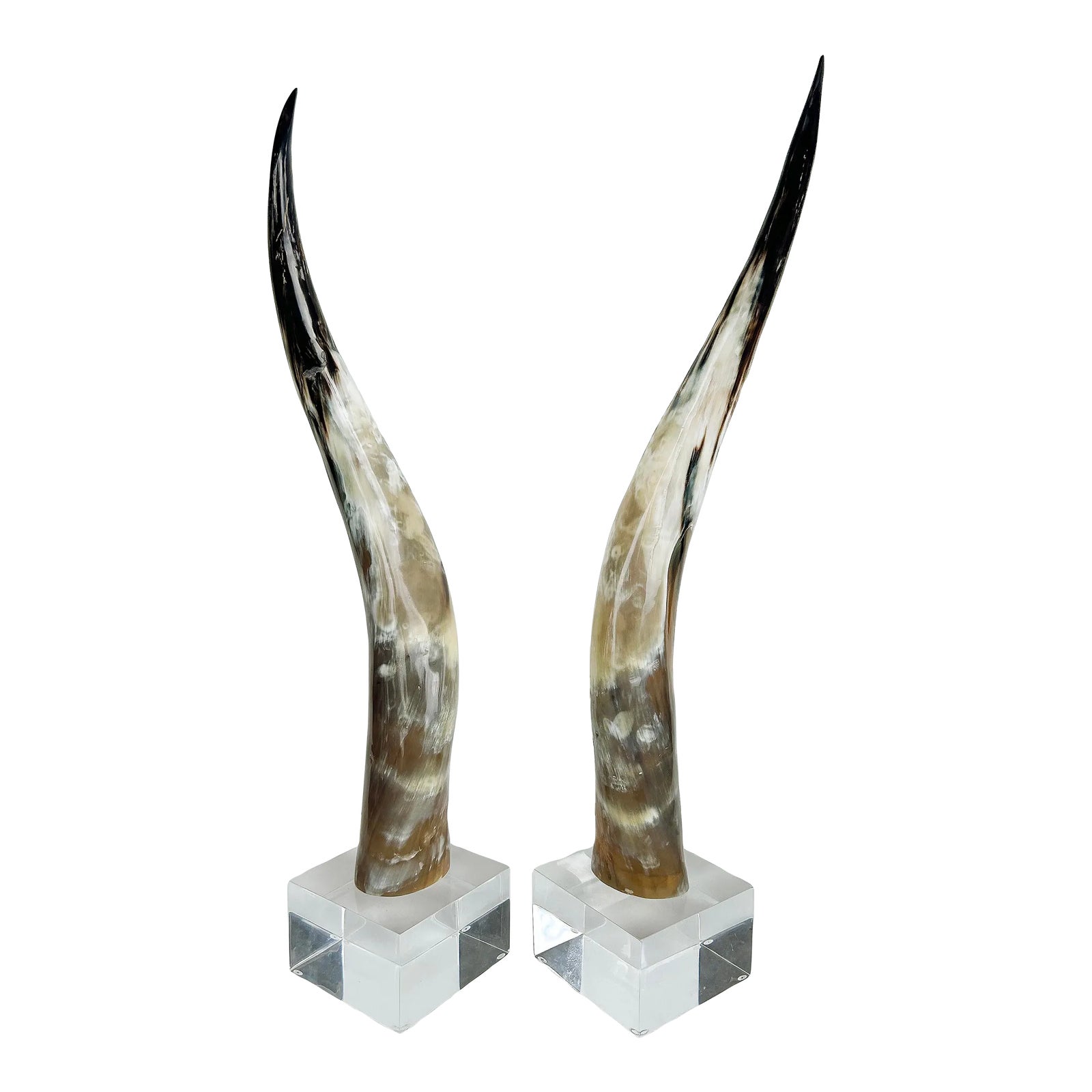 Large Vintage Steer Horns Mounted on Lucite Bases, a Pair | Chairish